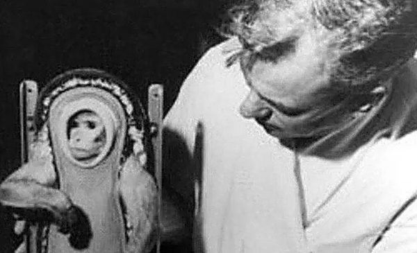A 50 años del primer astronauta argentino