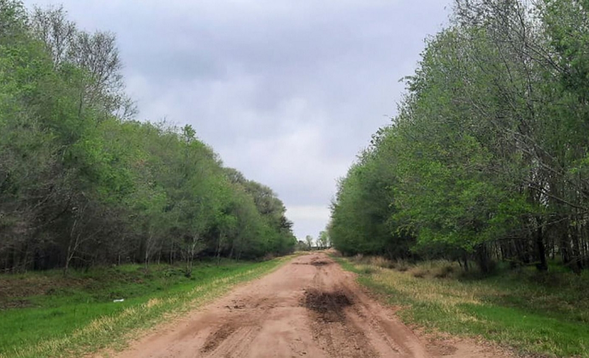 Provincia pavimentará un tramo de la ruta 9