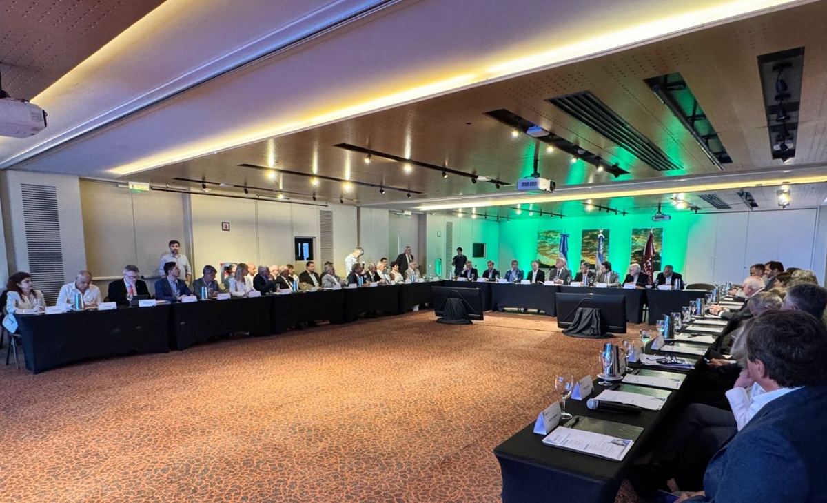 "Decilo, Enzo, decilo"